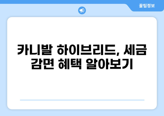 카니발 하이브리드 세금 혜택 얼마나 받을 수 있을까요 카니발 하이브리드 자동차세 친환경 자동차 세금 감면 일상의