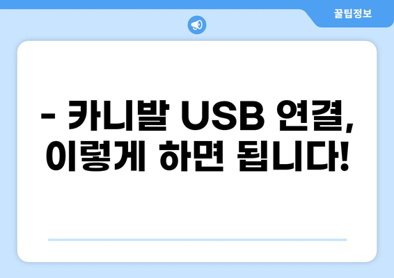 카니발 Usb 연결 가이드 차량 정보 시스템 활용 방법 카니발 Usb 차량 정보 시스템 연결 방법 사용 가이드