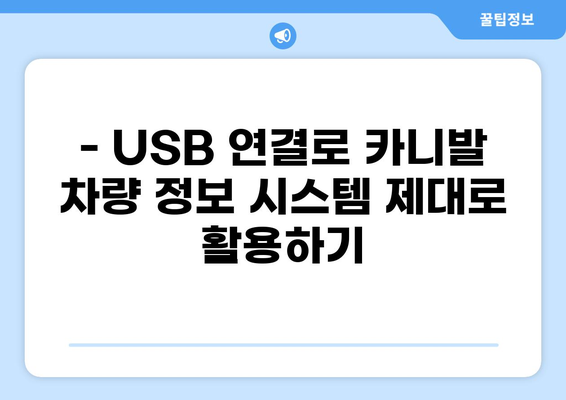 카니발 Usb 연결 가이드 차량 정보 시스템 활용 방법 카니발 Usb 차량 정보 시스템 연결 방법 사용 가이드