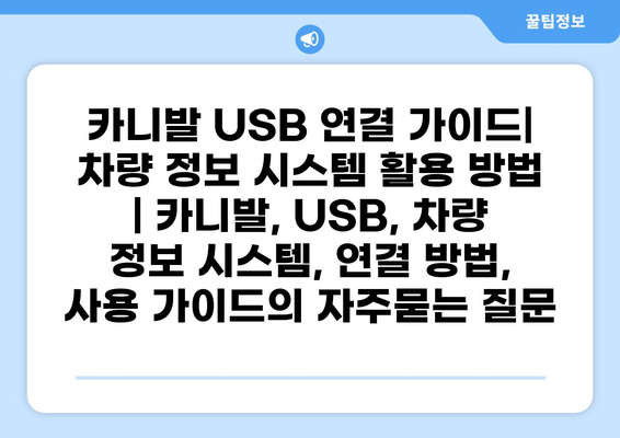 카니발 Usb 연결 가이드 차량 정보 시스템 활용 방법 카니발 Usb 차량 정보 시스템 연결 방법 사용 가이드